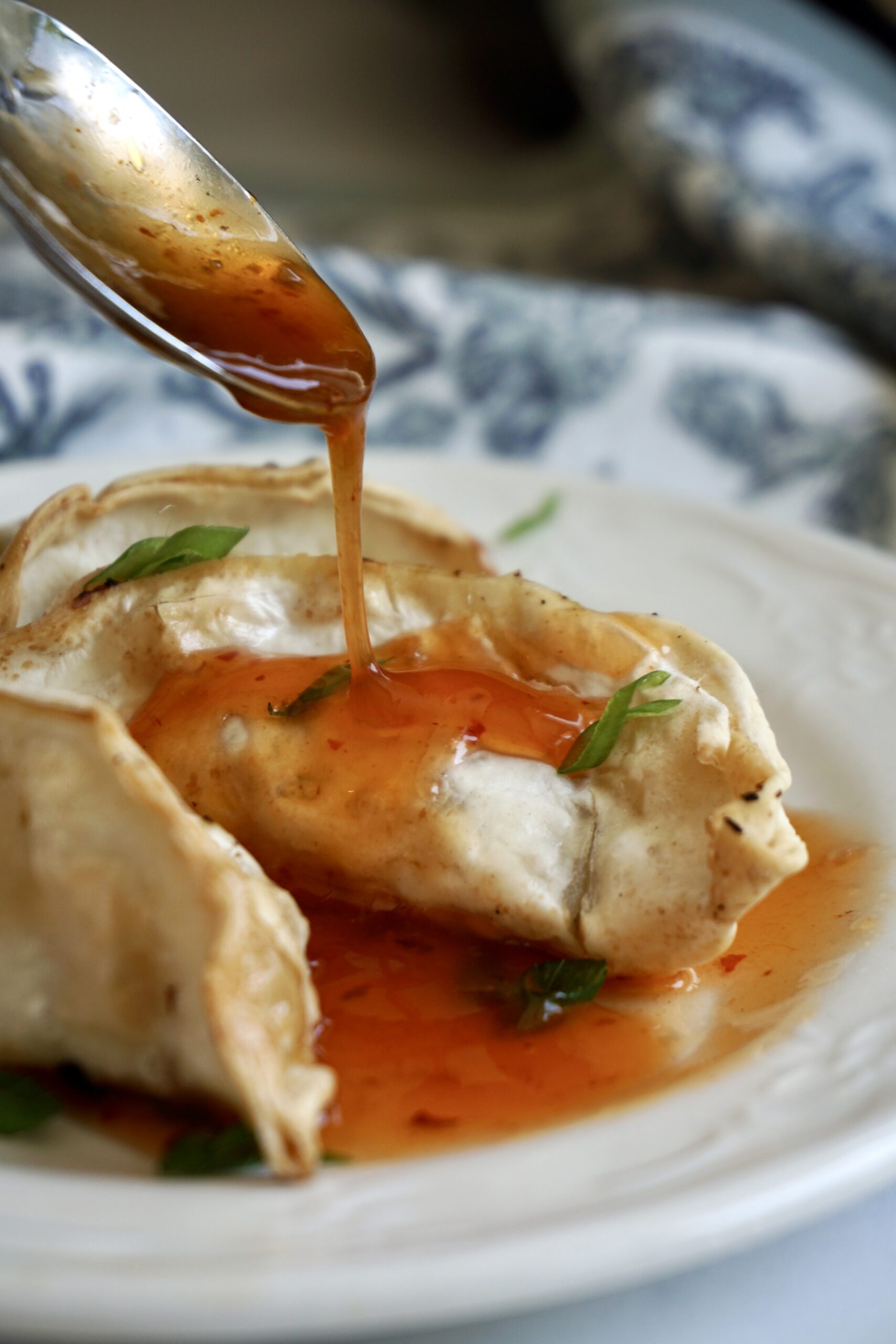 Air Fryer Frozen Dumplings - Humble Oven